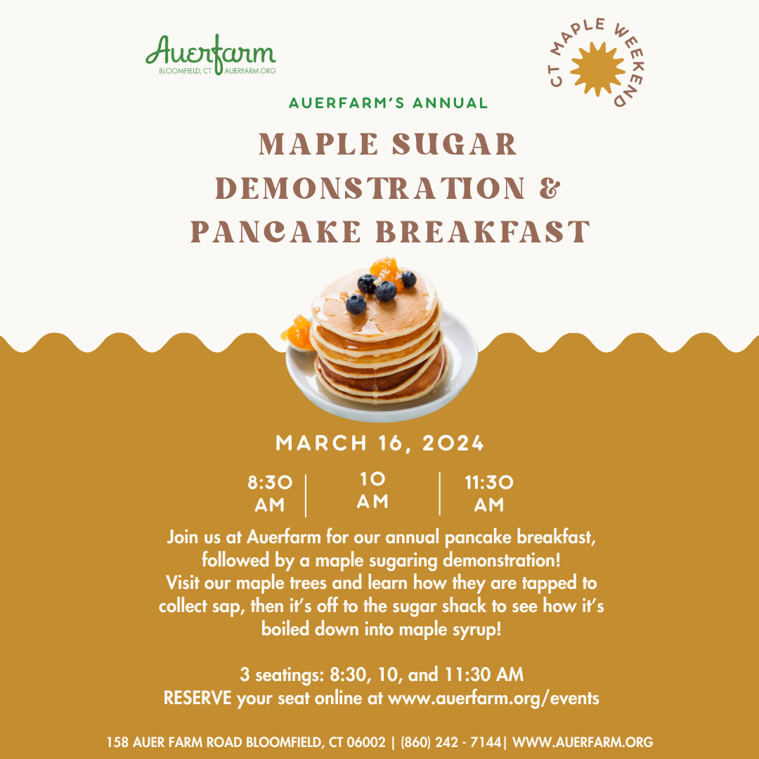 PANCAKE BREAKFAST (Billboard (Square)) – Auerfarm